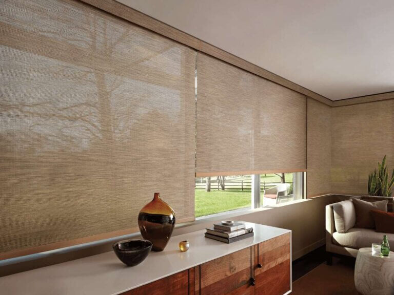 Solar Shades Pros and Cons Explained: Is It Worth It?